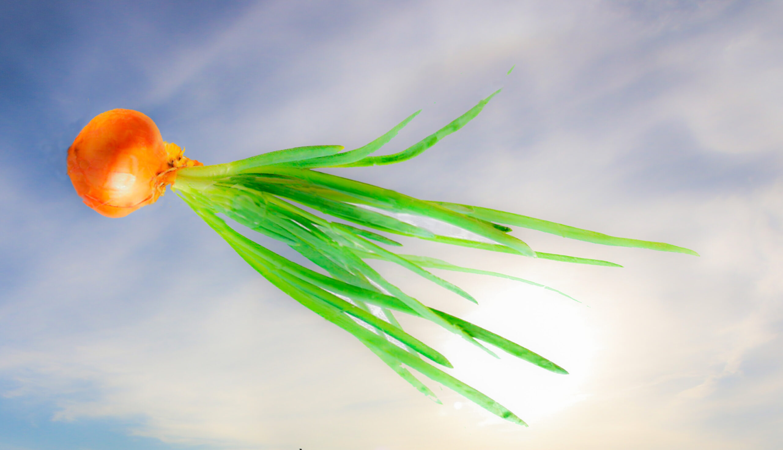 The flying onion – Neurologically Challenged
